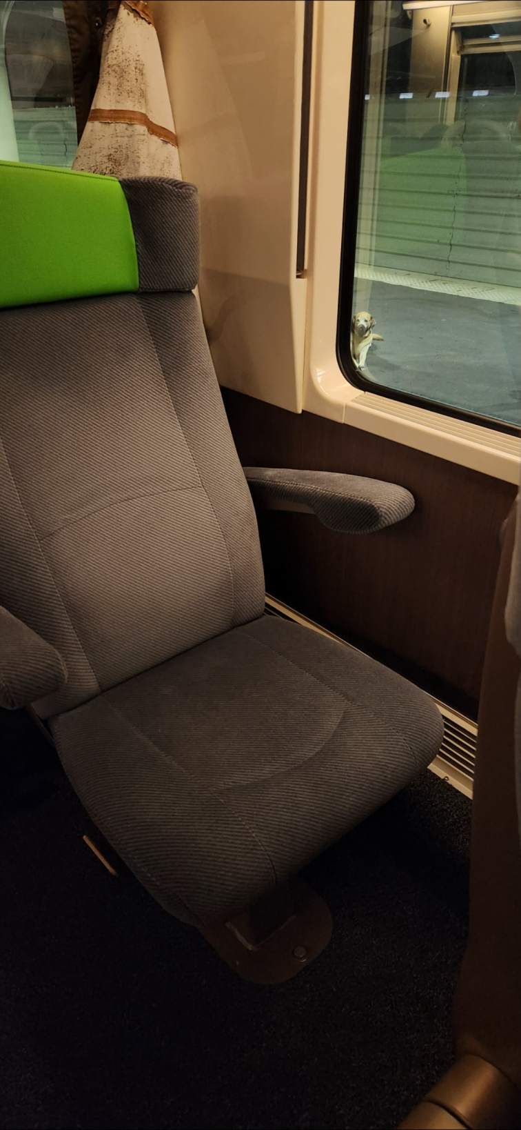 Train de nuit, Train couchette & Intercités de nuit SNCF | Trainline