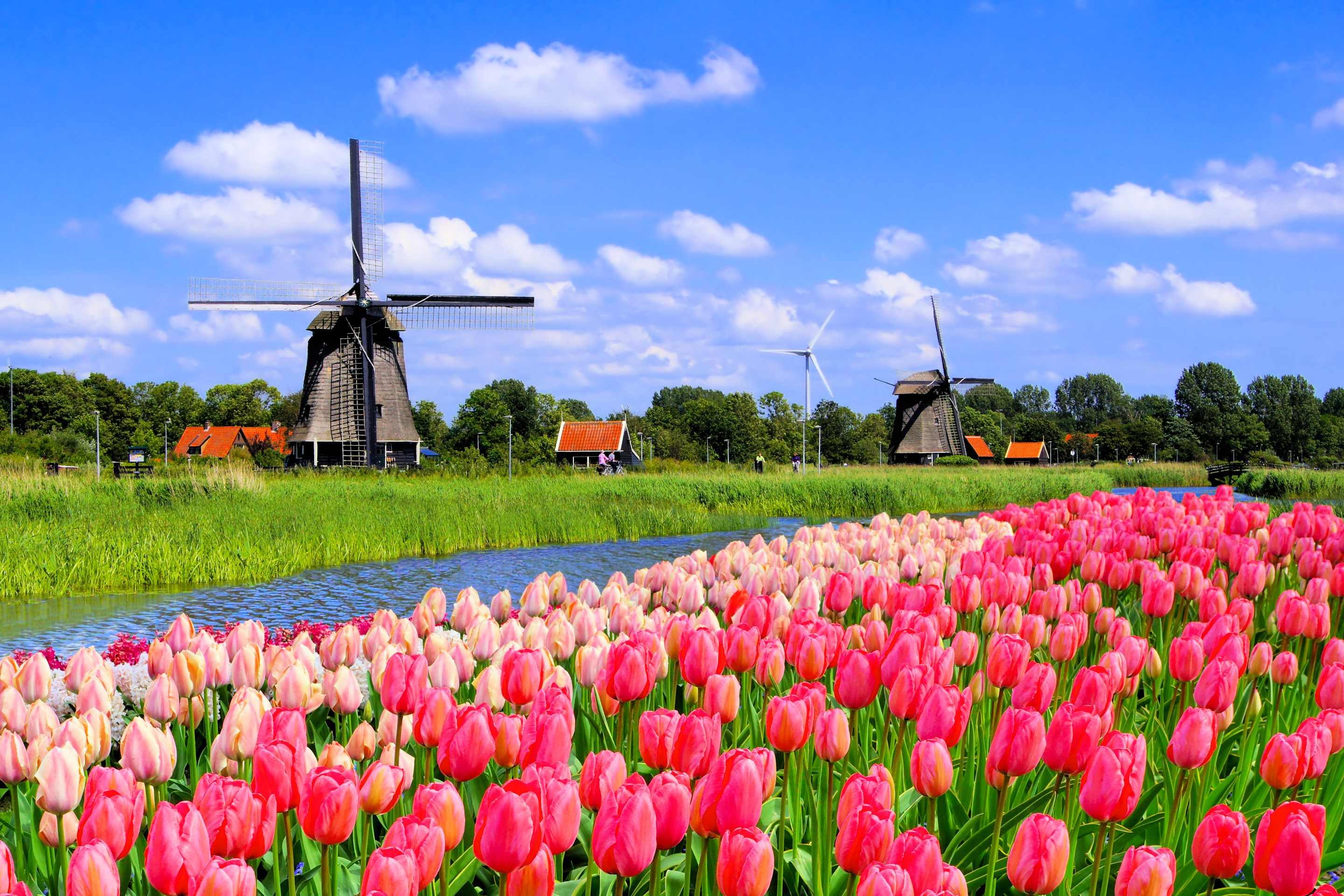 Windmill amsterdam store